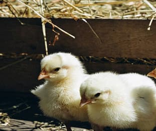 онлайн-школа